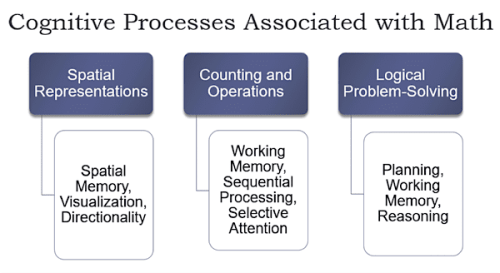 Cognitive Skills and Math | edCircuit